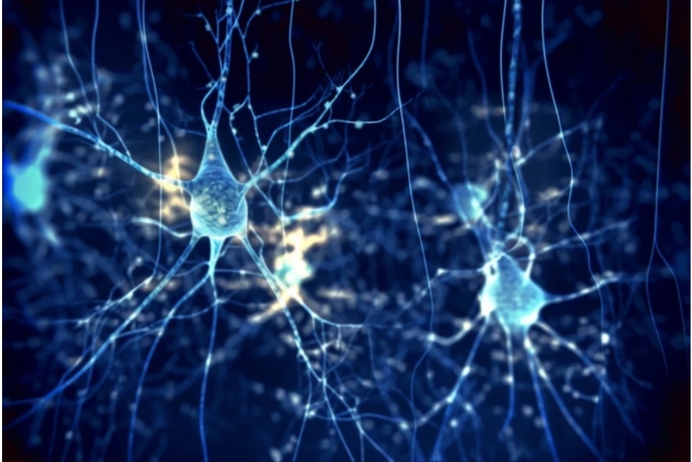Human Cell Atlas project: Ένας χάρτης από… ανθρώπινα κύτταρα - CozyVibe